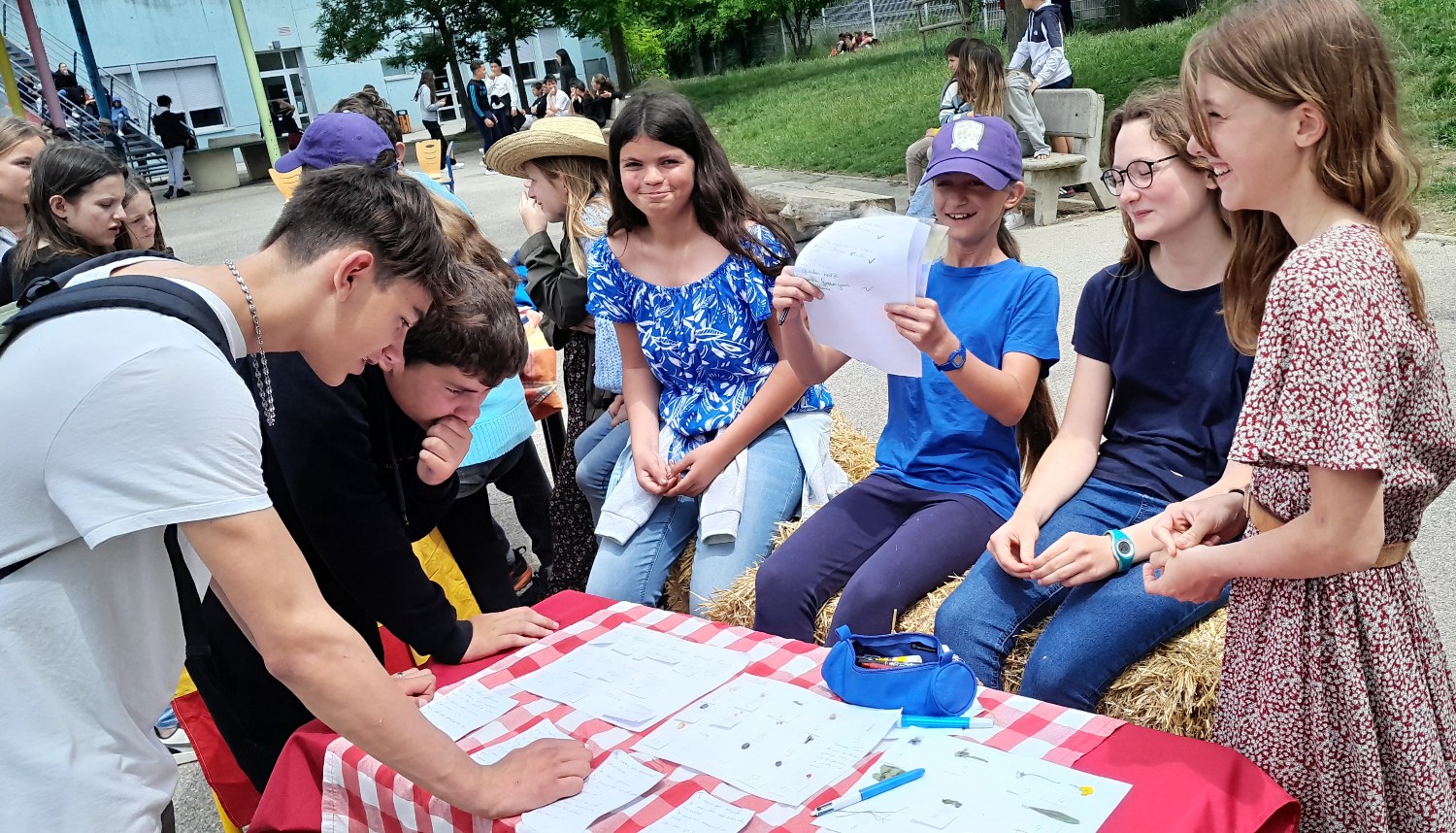 Retour sur la fête de la nature | Collège Revesz-Long